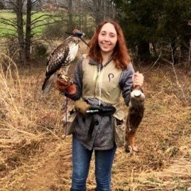 Dani Mitchell: Falconry and its Impact on Raptor Conservation
